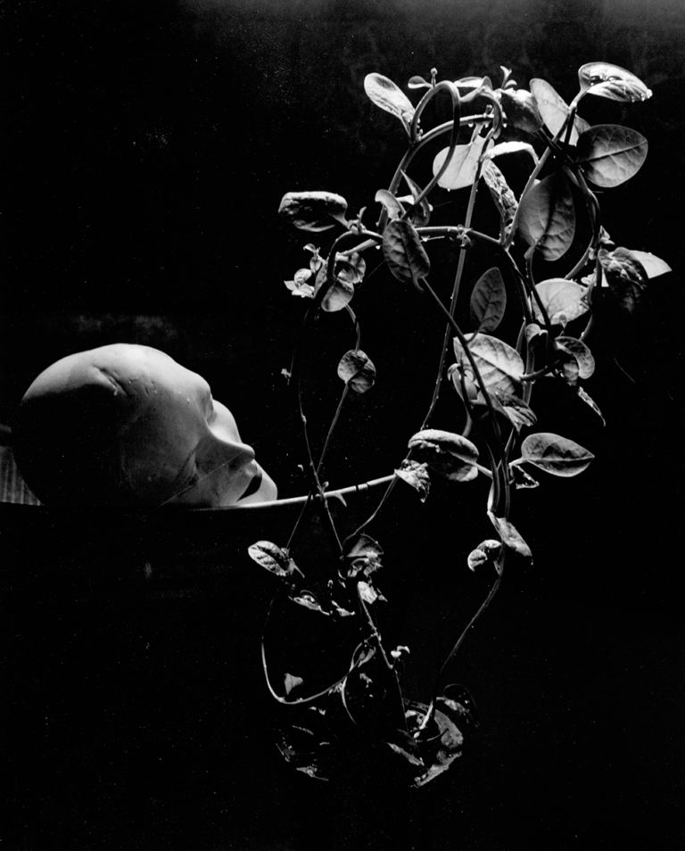 APUNTES SOBRE LA FOTOGRAFÍA DE NACHO LÓPEZ