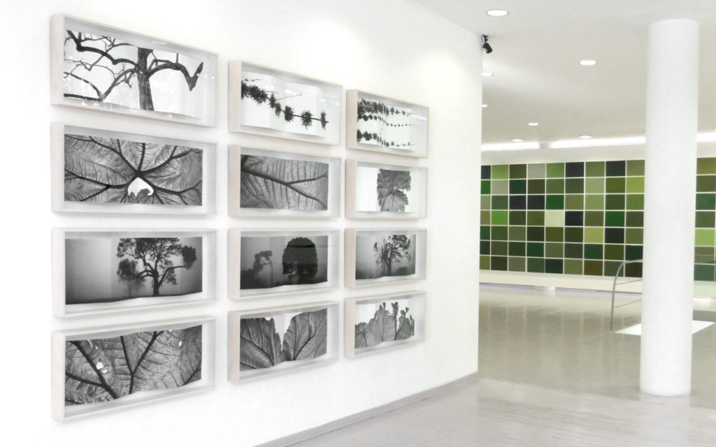 Jan Hendrix: artista, muralista, arquitecto y rebelde