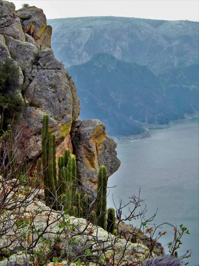 Presas cercanas a la CDMX: una aventura para el fin de semana